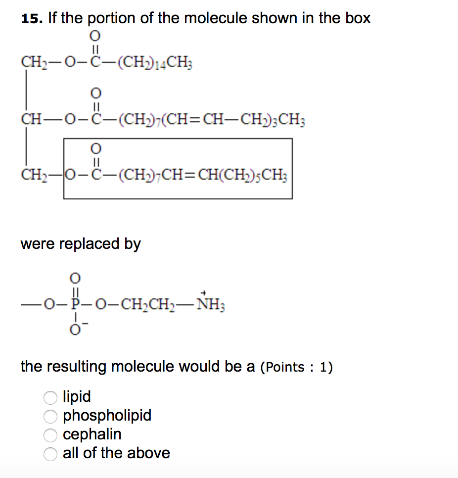Solved If the portion of the molecule shown in the box were | Chegg.com