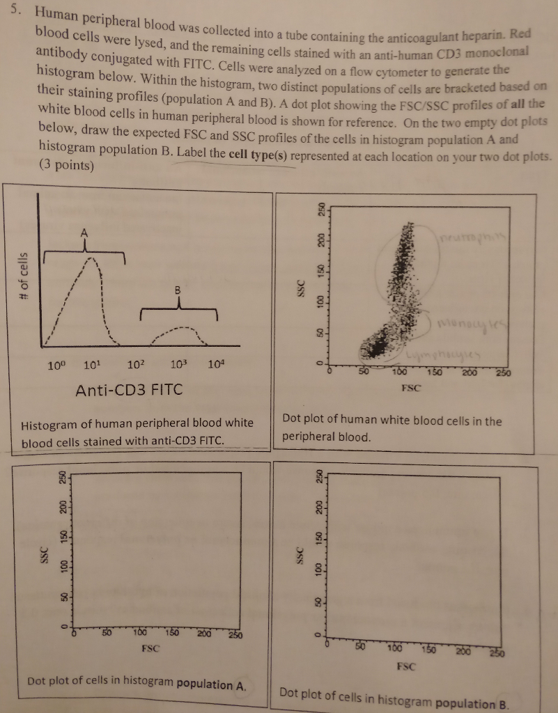 Solved Human peripheral blood was collected into a tube | Chegg.com