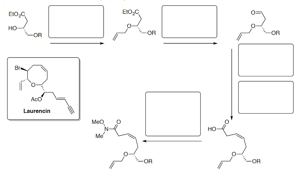 Solved Eto2C HO OR Br ACO Laurencin EtO2C OR Meo O Me OR HO | Chegg.com