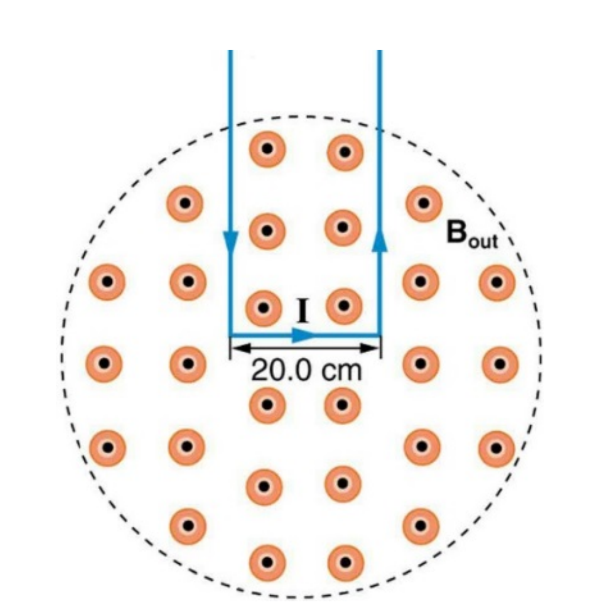 Solved The force exerted on a rectantangular loop placed in | Chegg.com