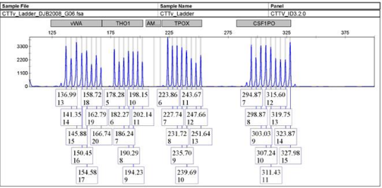 Solved Below is an STR allelic profile for four loci: vWA, | Chegg.com