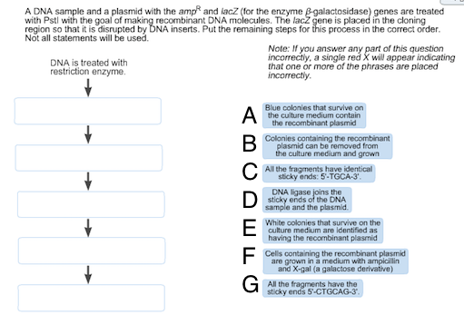 Solved A DNA sample and a plasmid with the ampR and lacZ | Chegg.com