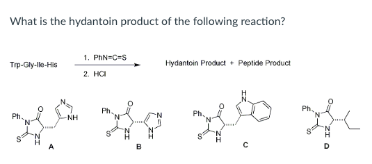 Solved What is the hydantoin product of the following | Chegg.com
