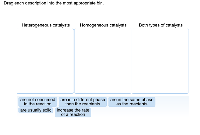 Solved Drag each description into the most appropriate bin. | Chegg.com