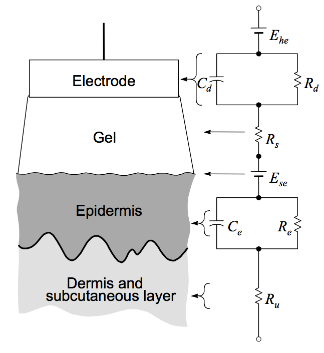 Solved %]. Consider the electrical model of an electrode on | Chegg.com