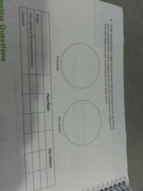 Solved Draw representative fields of pond water and hay | Chegg.com