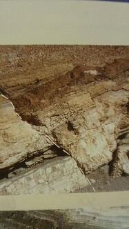 Solved label the foot wall block and the hanging wall block. | Chegg.com