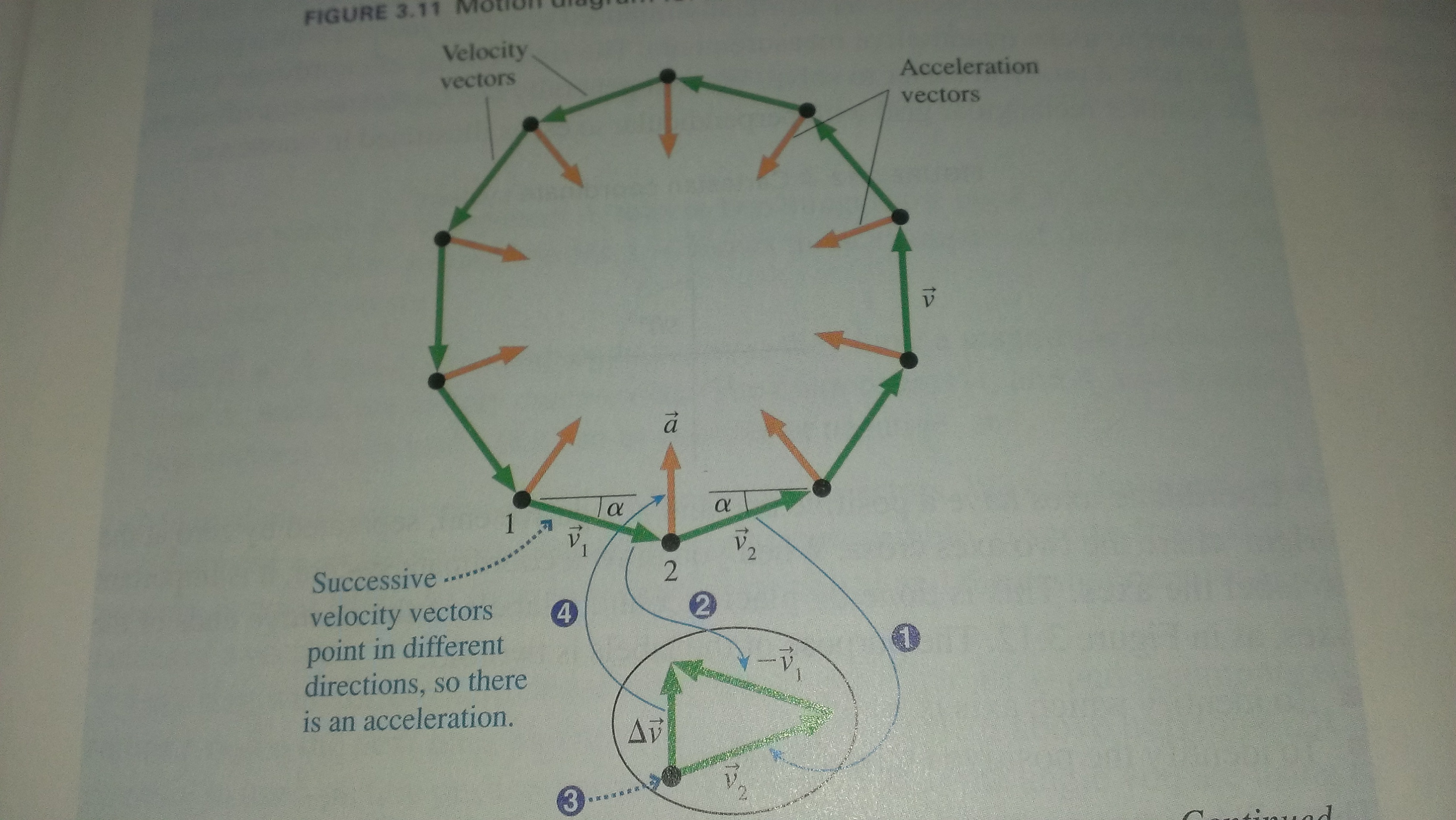 Solved: For The Motion Diagram Of A Ferris Wheel Below, It... | Chegg.com