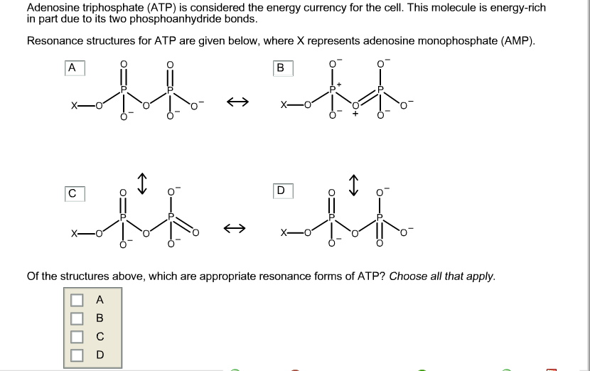 Solved Adenosine triphosphate (ATP) is considered the energy | Chegg.com