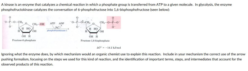 Solved A kinase is an enzyme that catalyzes a chemical | Chegg.com