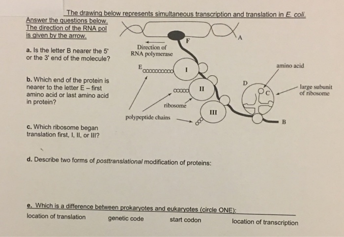 Solved The drawing below represents simultaneous | Chegg.com
