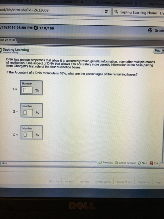 Solved DNA has unique properties that alow it to accurately | Chegg.com