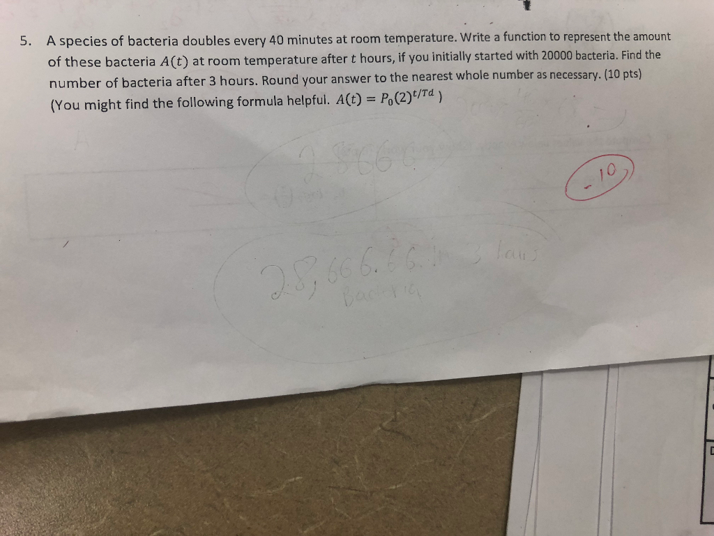 Solved A species of bacteria doubles every 40 minutes at | Chegg.com