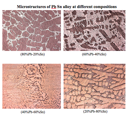 Microstructures of Pb Sn alloy at different | Chegg.com