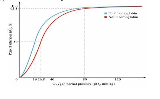 Solved Sickle-cell anemia is a genetic blood disorder that | Chegg.com