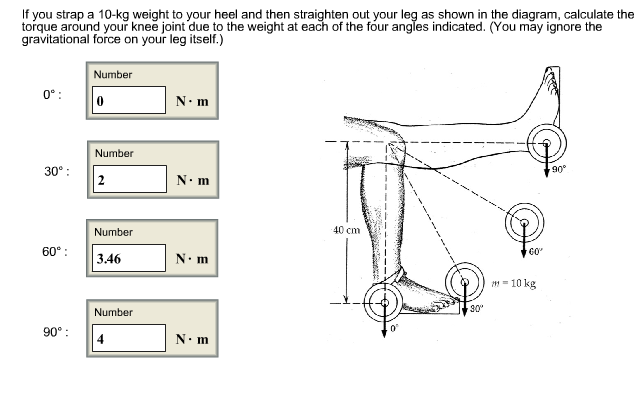 Solved torque around your knee joint due to the weight at | Chegg.com