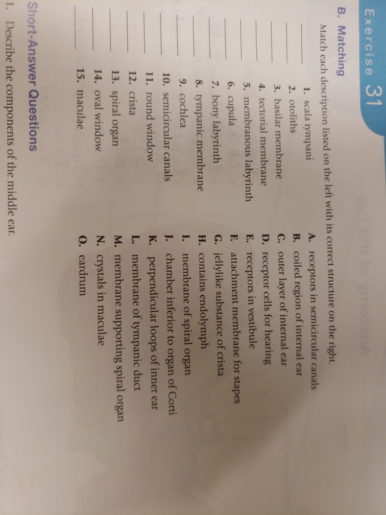 Solved Exercise 31 B. Matching Match each description listed | Chegg.com