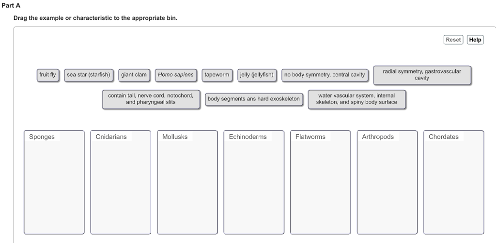 Solved Drag the example or characteristic to the appropriate | Chegg.com