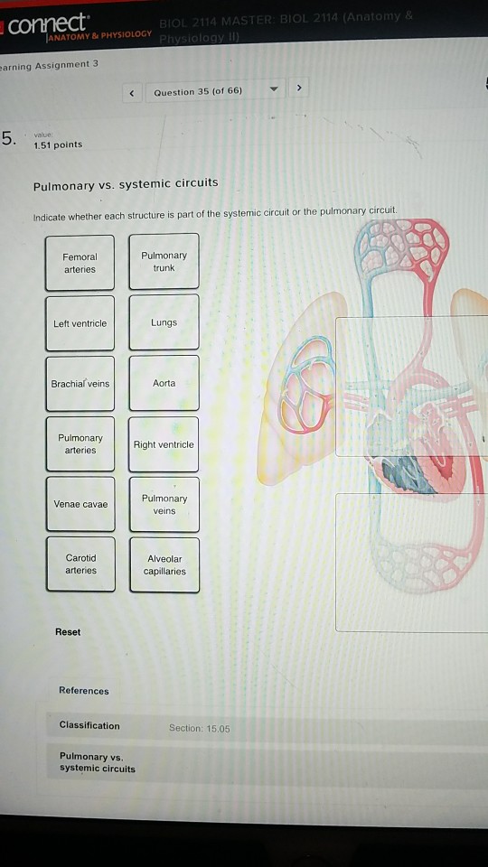Solved Indicate whether each structure is part of the | Chegg.com