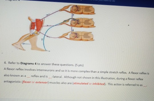 Solved 4. Refer to Diagrams 4 to answer these questions. (5 | Chegg.com
