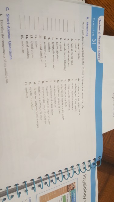 Solved Review & Practice Sheet Exercise 31 B. Matching Match | Chegg.com