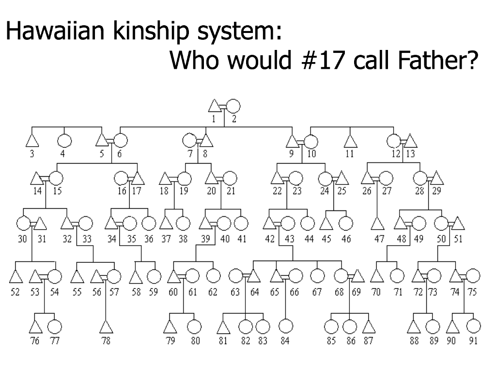 Solved Hawaiian kinship system: Who would # 17 call Father? | Chegg.com