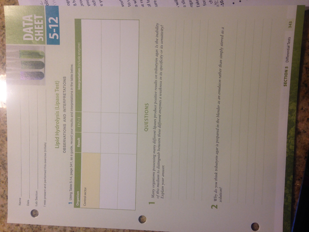 Solved DATA SHEET 6-2 Name Lab Section Standard Plate Count | Chegg.com