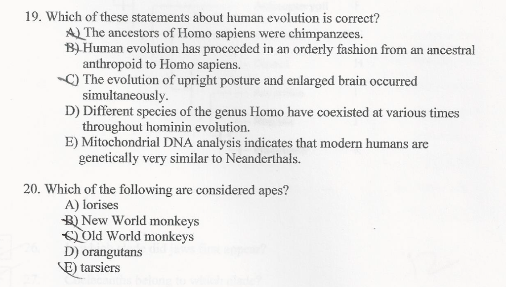 Solved 19. Which of these statements about human evolution | Chegg.com
