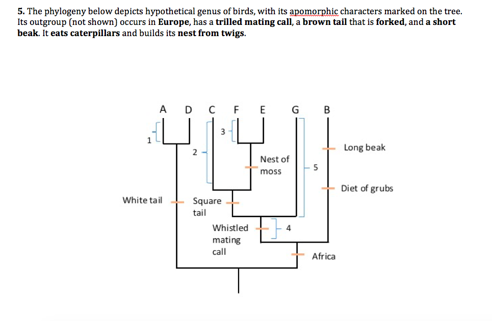 Solved 5. The phylogeny below depicts hypothetical genus of | Chegg.com