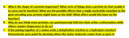 Solved A Why Is The Shape Of A Protein Important What Chegg solved-a-why-is-the-shape-of-a-protein-important-what-chegg