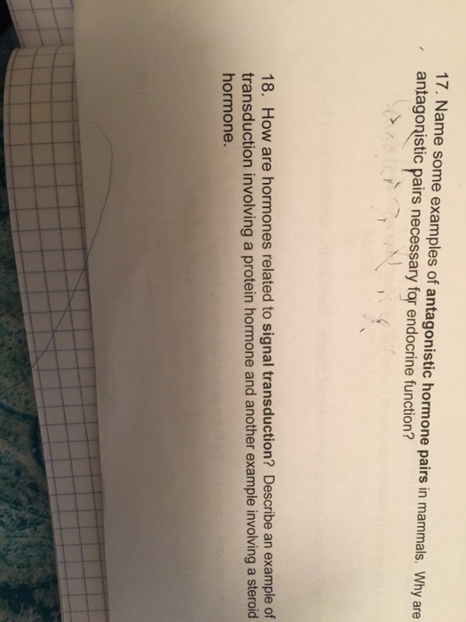 Solved Name some examples of antagonistic hormone pairs in | Chegg.com