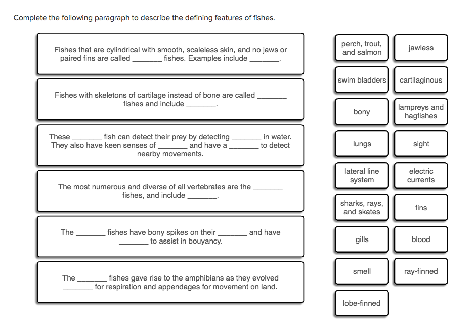 Solved Complete the following paragraph to describe the | Chegg.com