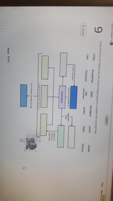Solved 9 Drag and drop the labels into the correct empty | Chegg.com