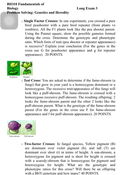 Solved Single Factor Crosses: In one experiment, you crossed | Chegg.com