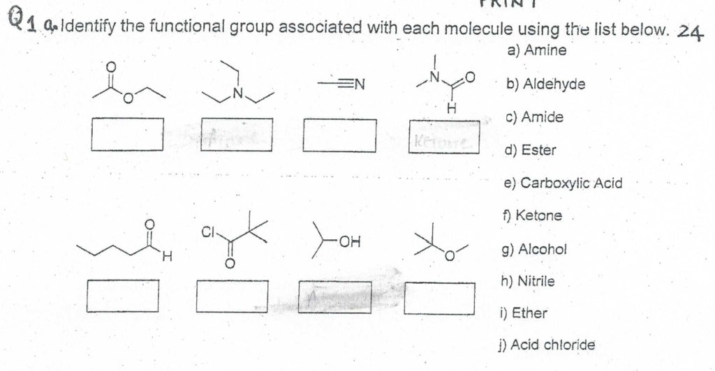 Solved Identify the functional group associated with each | Chegg.com