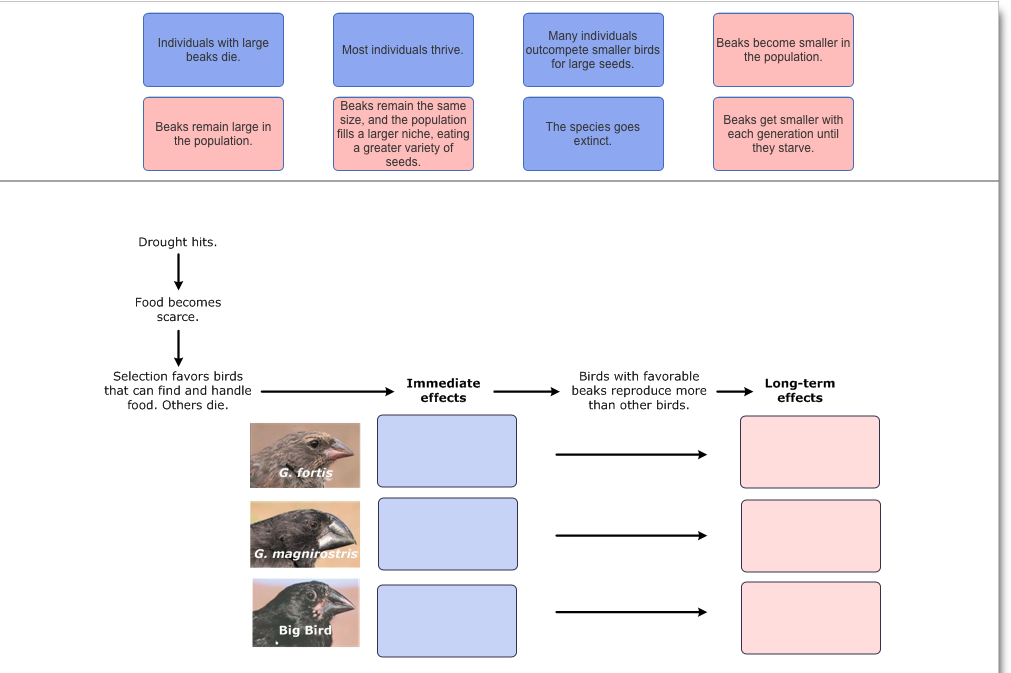 Solved Part C - How do the bird populations respond to | Chegg.com