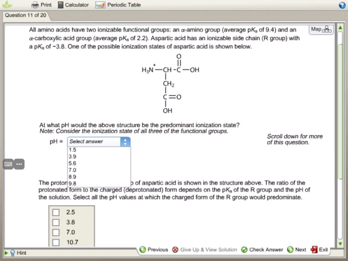 Solved All amino adds have two ionizable functional groups: | Chegg.com