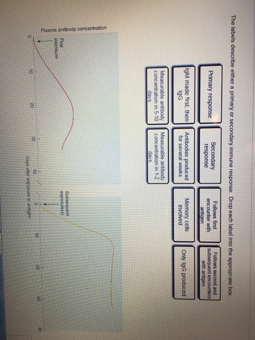 Solved The labels describe either a primary or secondary | Chegg.com