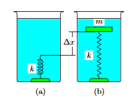 Solved A light spring with a spring constant of 17.1 N/m | Chegg.com