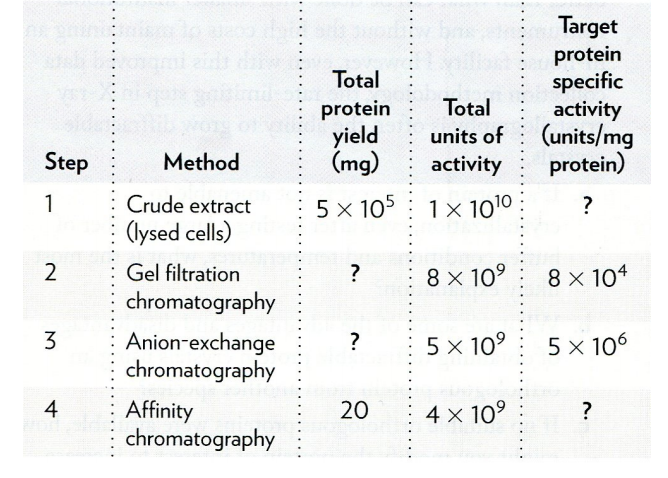 Solved What is the fold purification of this protein after | Chegg.com