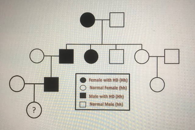 Solved The woman marked with a question mark is your friend. | Chegg.com