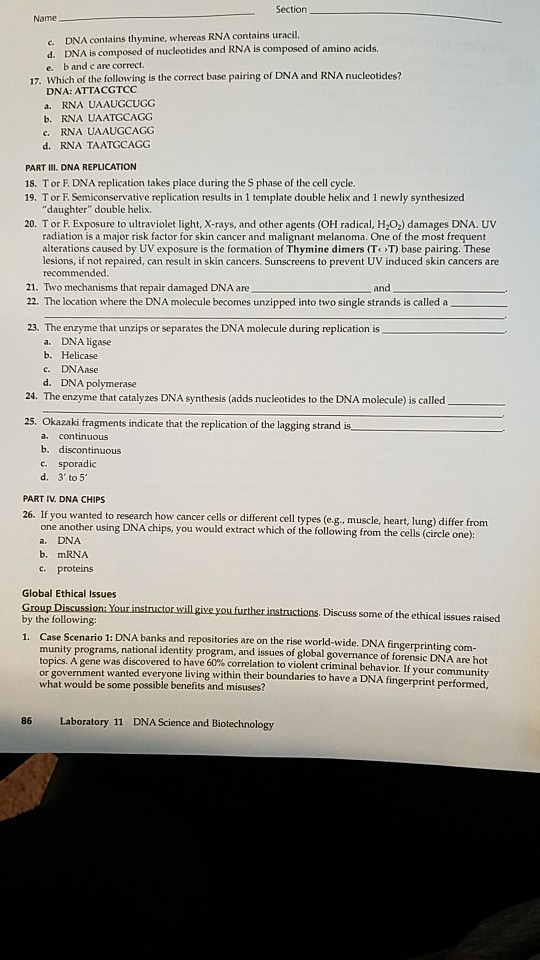 Solved 5 S TACGGTAAGCATCTTGGCATAACCCCAATT (CODING STRAND) | Chegg.com