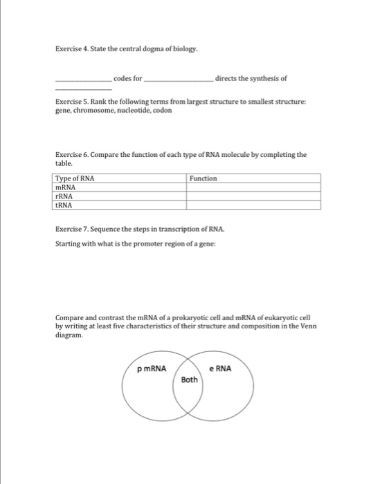 Flowchart, Wiring and Diagram: Venn Diagram Rna Dna