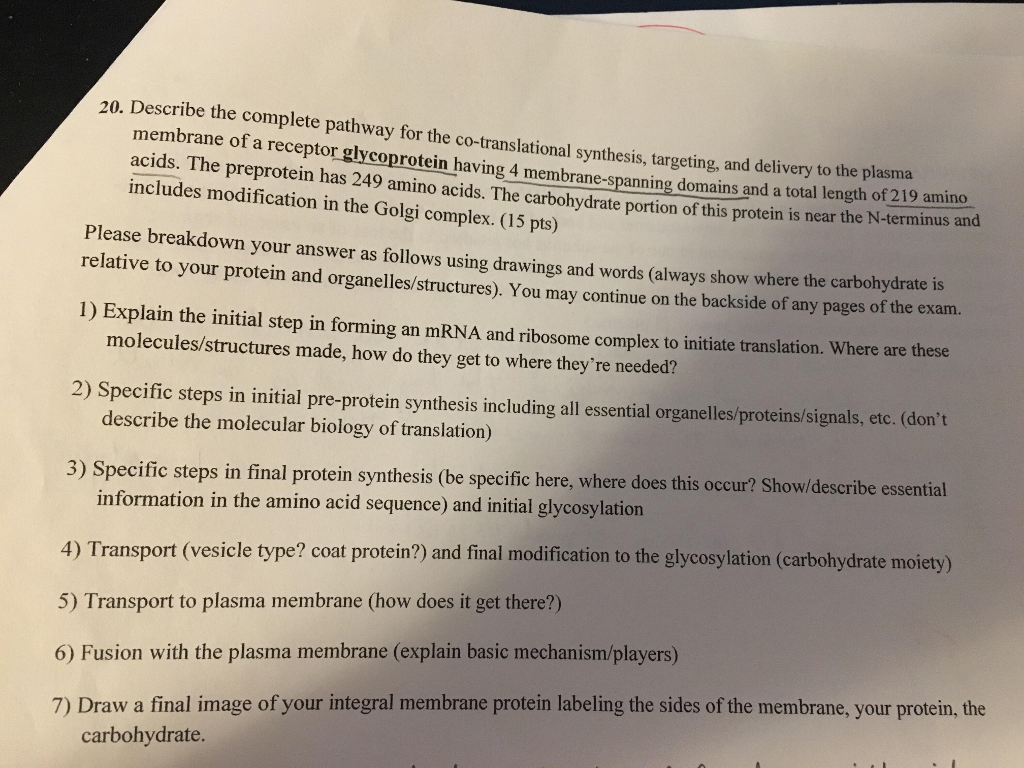 20. Describe the complete pathway for the | Chegg.com