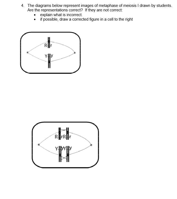 Solved The diagrams below represent images of metaphase of | Chegg.com