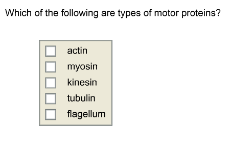 Solved Which of the following are types of motor proteins? | Chegg.com