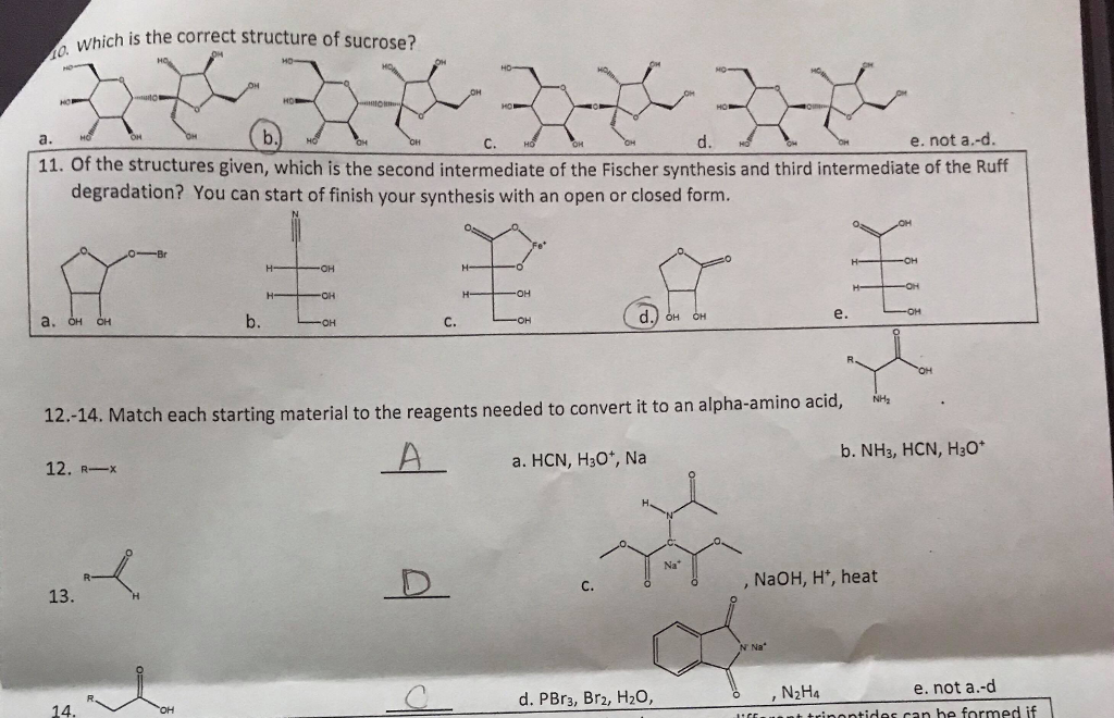 Solved hich is the correct structure of sucrose? a. 11. Of | Chegg.com