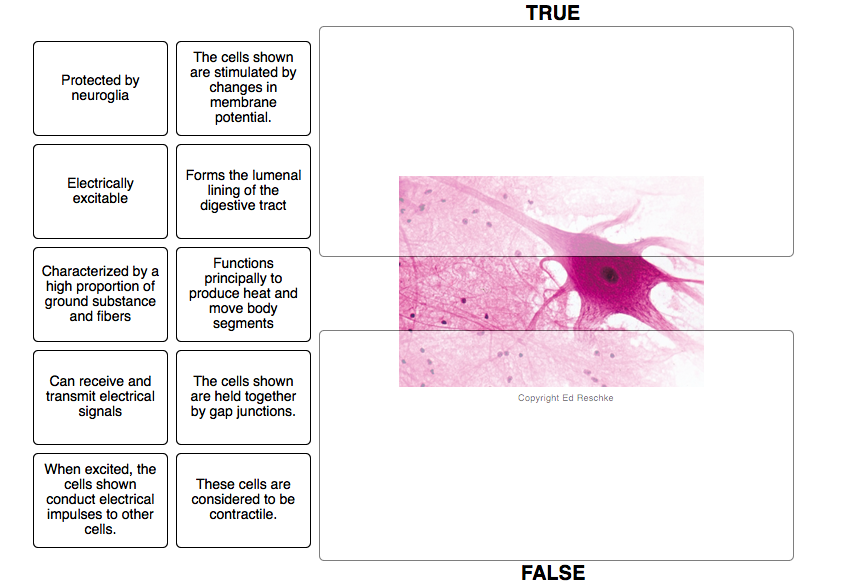Solved Drag Each Label Into The Appropriate Position To