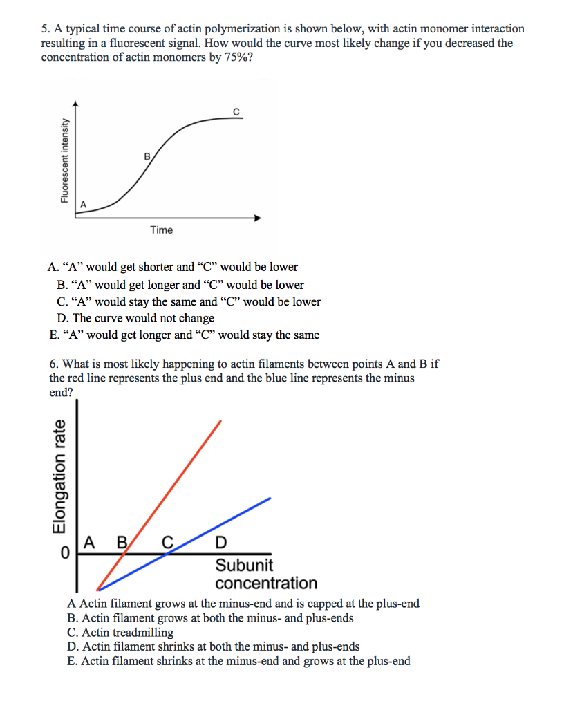 Solved 5 A Typical Time Course Of Actin Polymerization Is