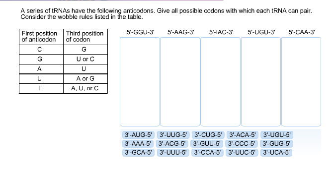 Solved A series of tRNAs have the following anticodons. Give | Chegg.com